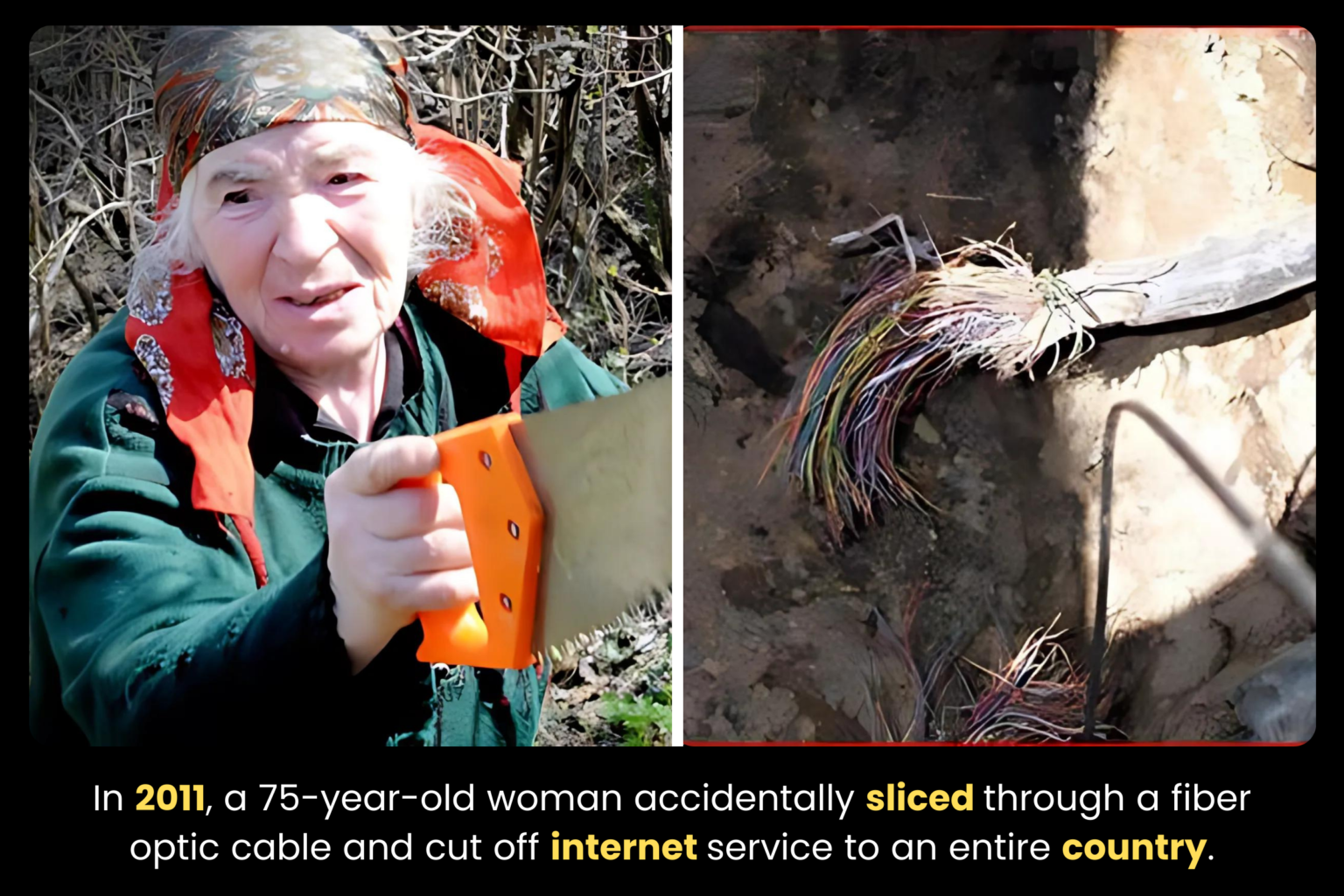 How a 75-Year-Old Woman Cut Off An Entire Country’s Internet – The ...
